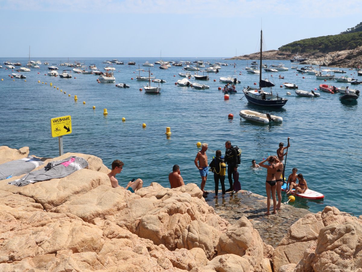 Vies Braves, sea-swimming water trails in the Costa Brava – Costa Brava ...