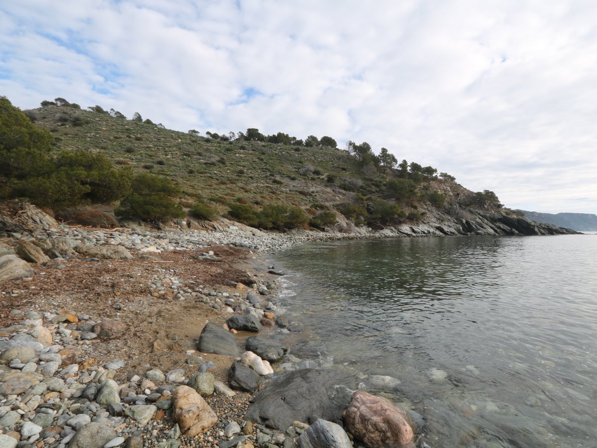 Cala Murtra – Costa Brava Maniacs – Guide to Sights, Activities, and ...