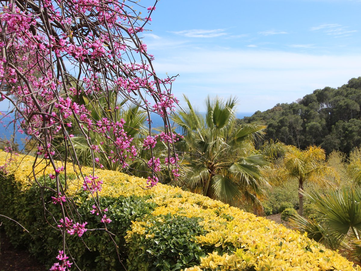 Botanical Gardens of Cap Roig – Costa Brava Maniacs – Guide to Sights ...